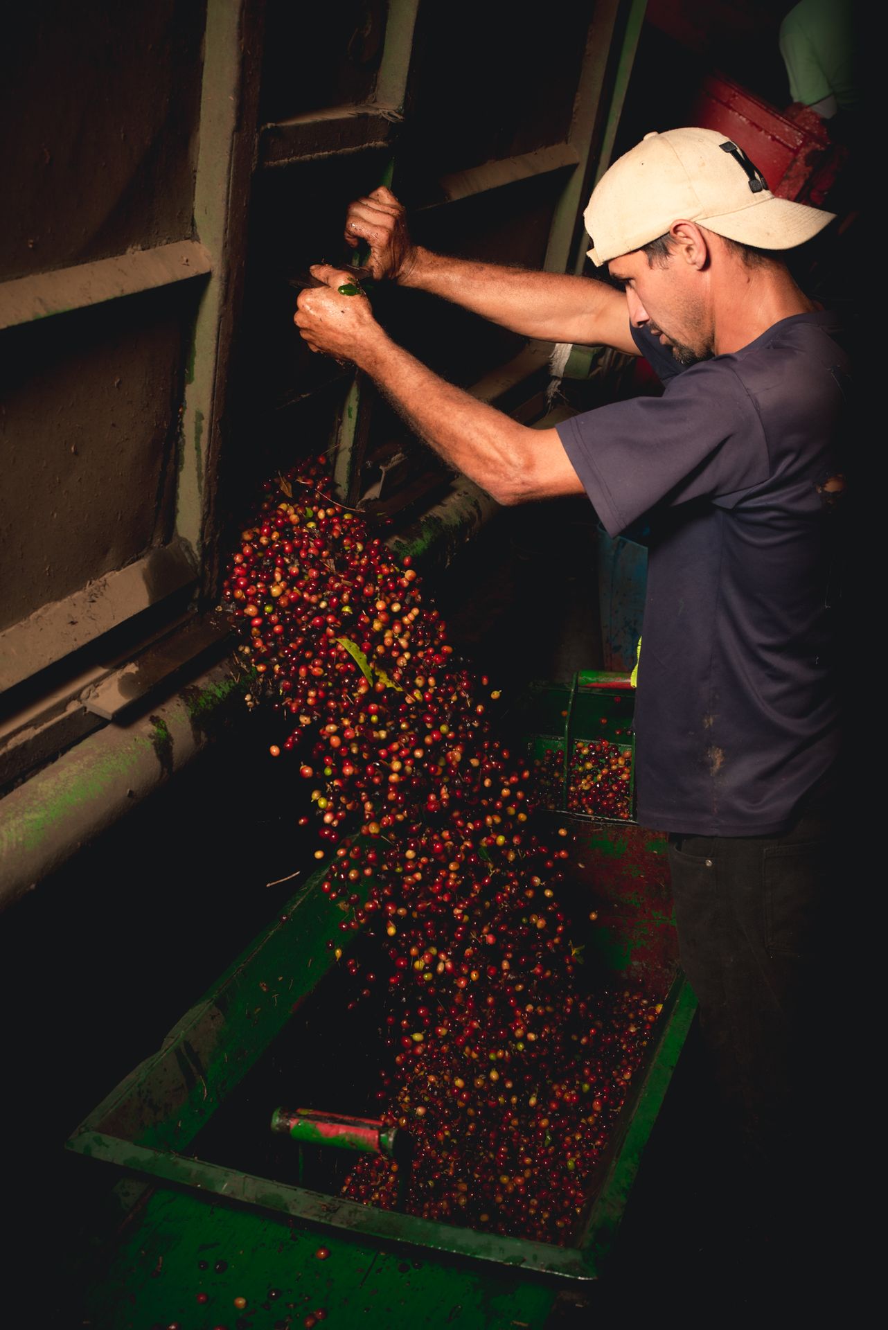 Área Agrícola | Cooperativa Victoria